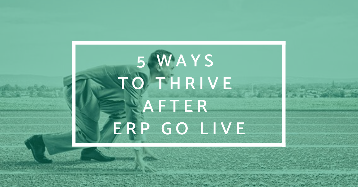 5 Ways To Thrive After ERP Go Live